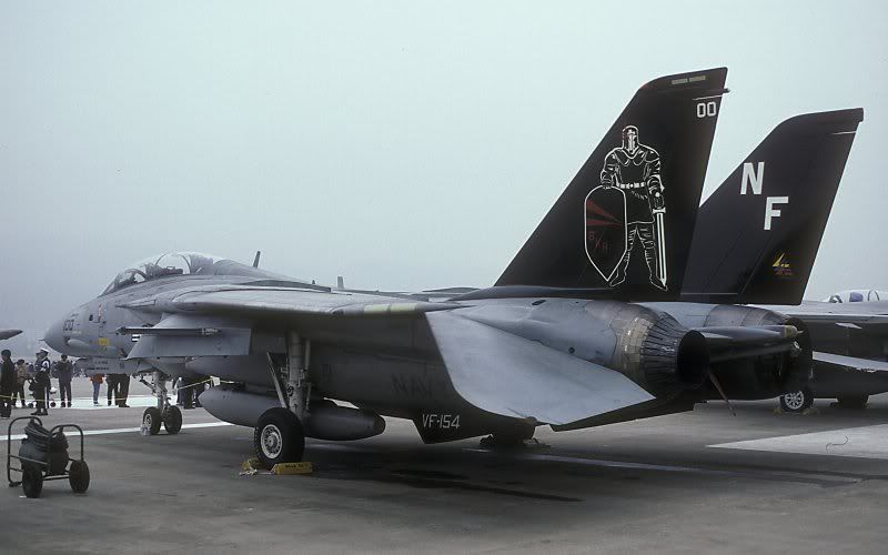 [CSG-2] CO Bird in flight, showing off VF-154’s beautiful high-vis ...