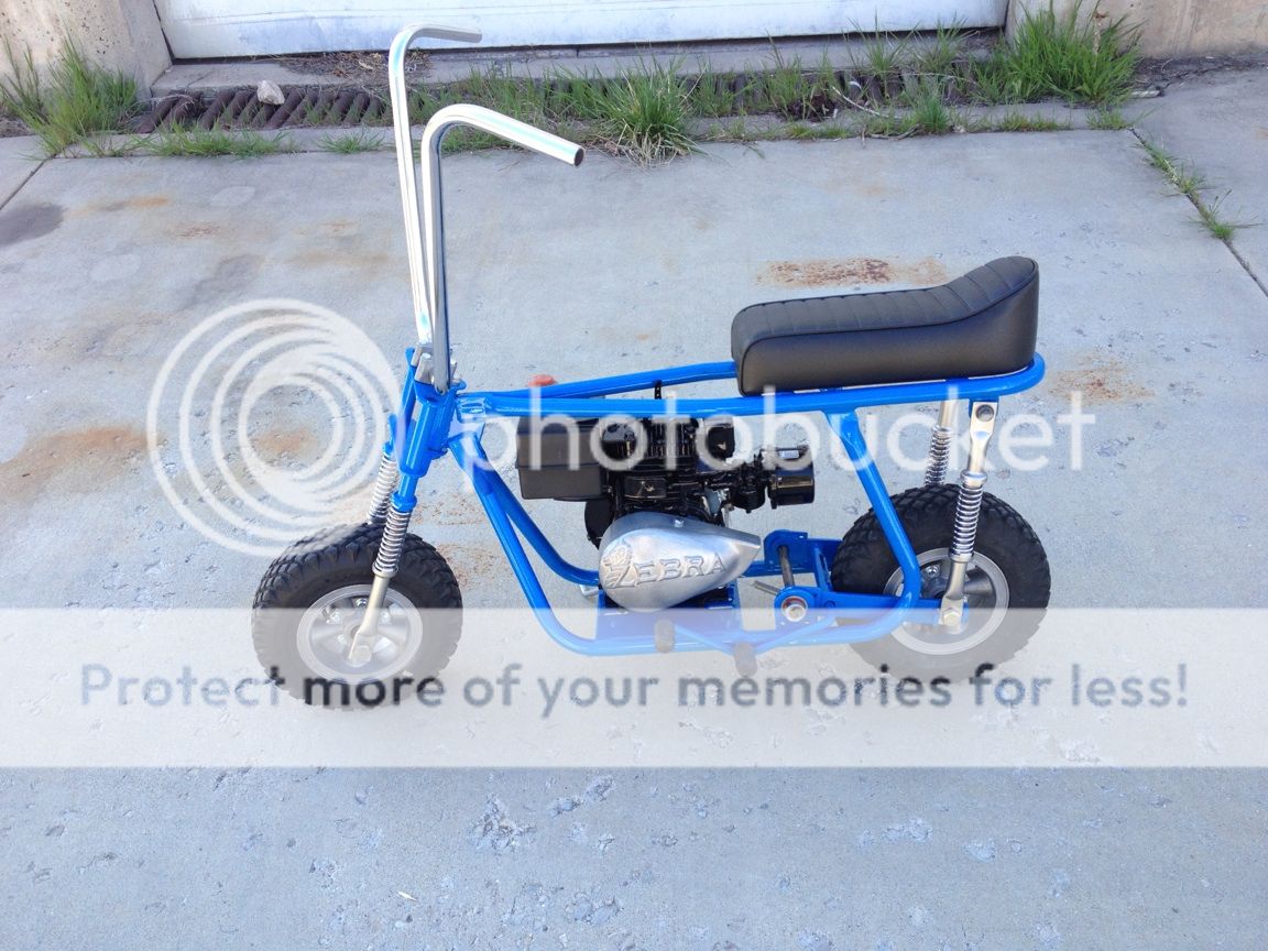 Zebra 500 Redux... | OldMiniBikes.com