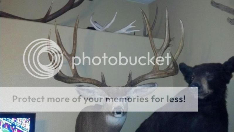 Monster muley buck with wide rack in UTV. Real or photochopped? | Jesse ...