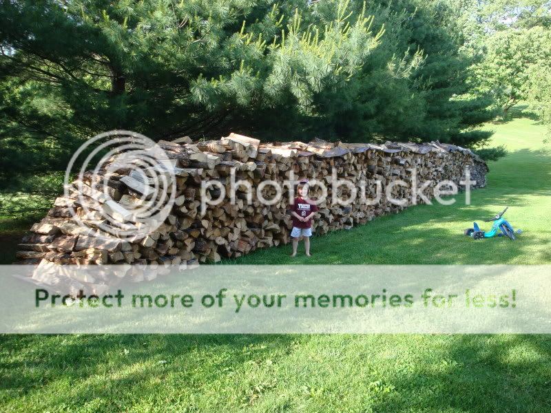 Wood Stack Pictures | Page 5 | Arborist, Chainsaw & Tree Work Forum