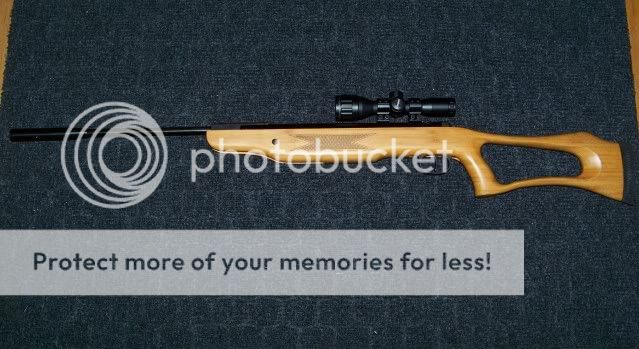 Xisico XS25 Bamboo - Airguns & Guns Forum