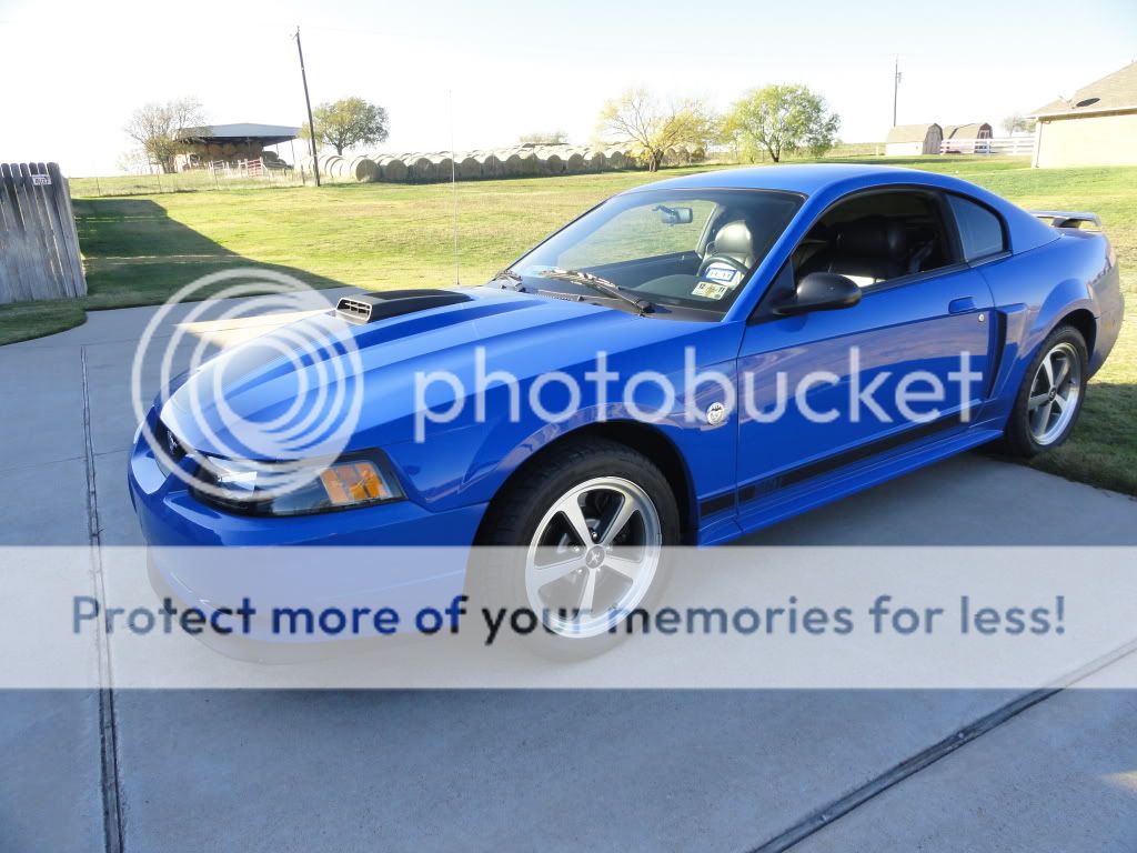 2004 Azure Blue Mach 1 with 24,800 miles | Ford Mustang Forums